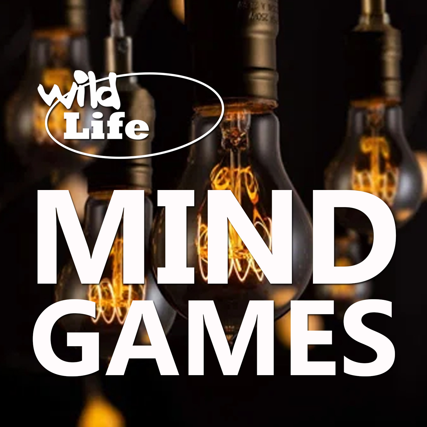 Adventure Games (Portable) – RECREATION / FITNESS / TEAM-BUILDING